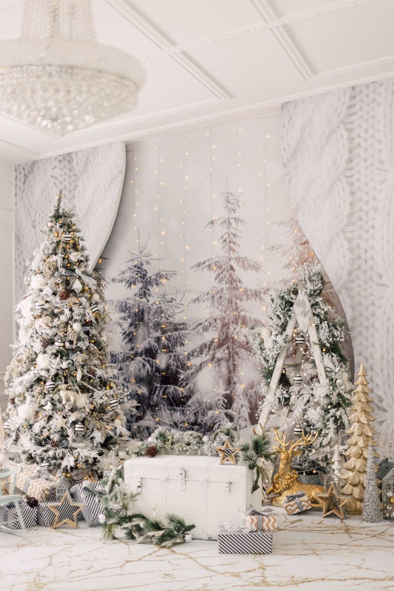 Classic Holiday Setup | Mint Room Studios