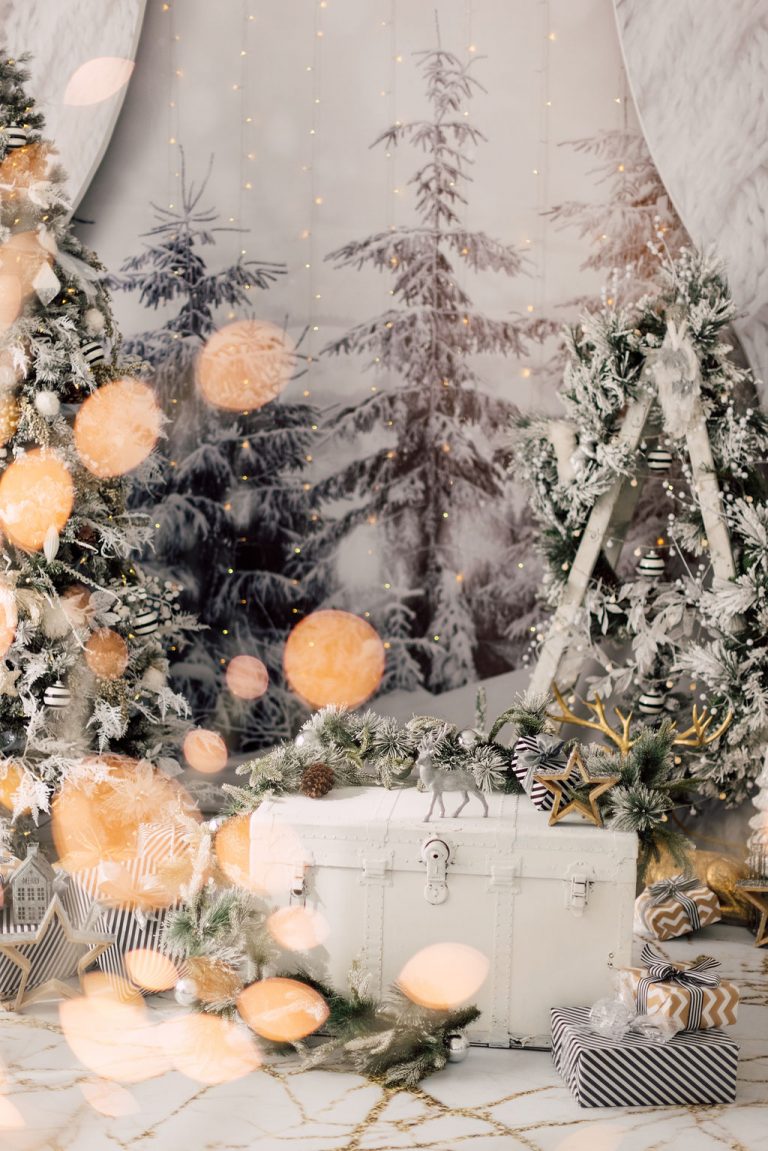 Classic Holiday Setup | Mint Room Studios