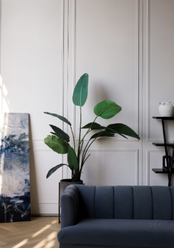 Home Page Main - Mint Room Studios