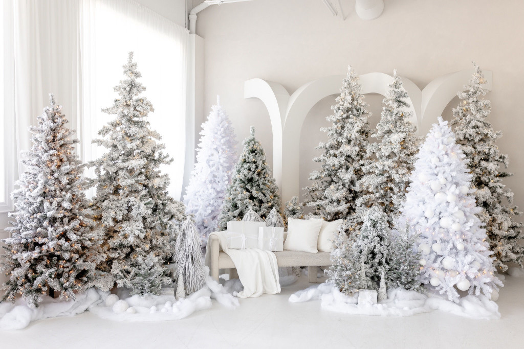 Frozen – Conservatory Studio — Winter 2024 - Mint Room Studios