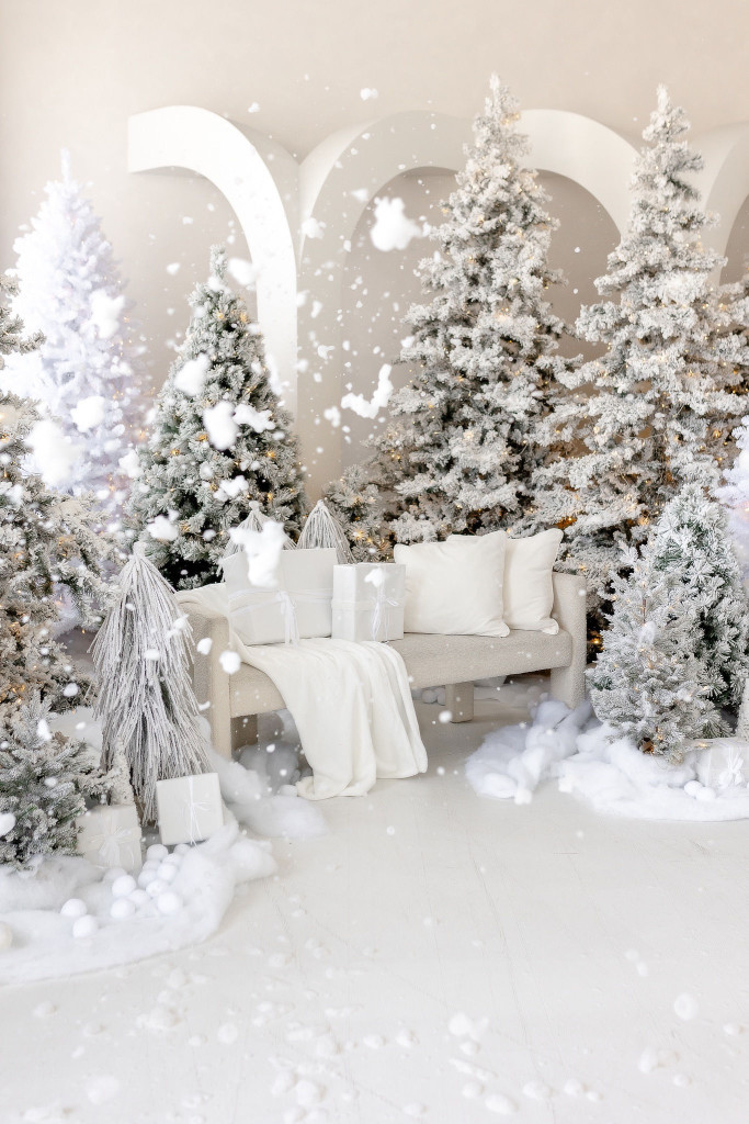Frozen – Conservatory Studio — Winter 2024 - Mint Room Studios